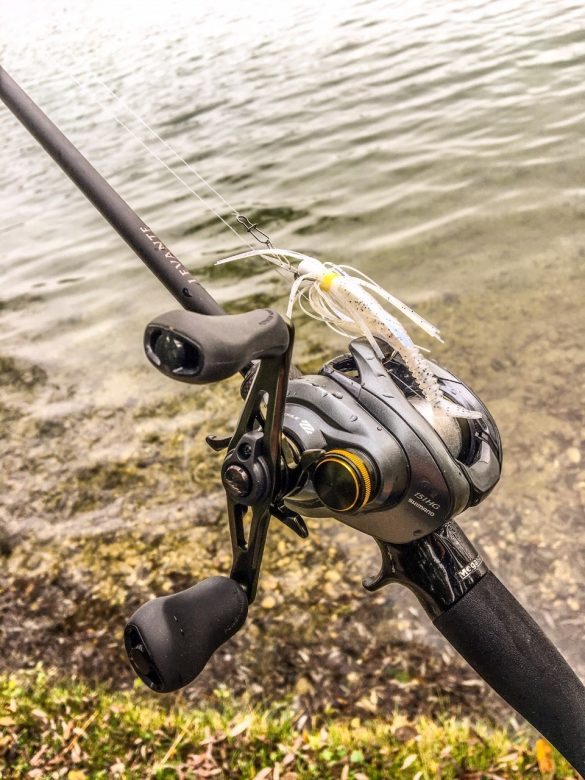 Shimano Curado DC 151 HG Test & Review | Mucfishing